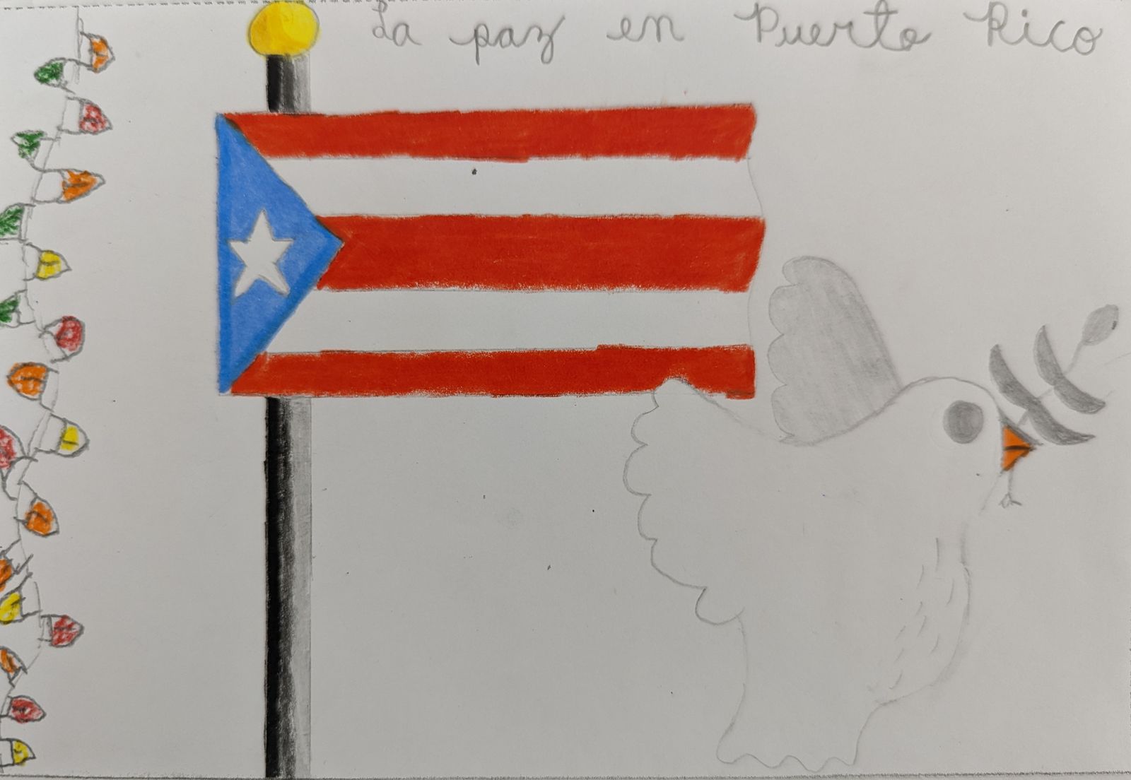 Galería Virtual - COSVI | Cooperativa de Seguros de Puerto Rico